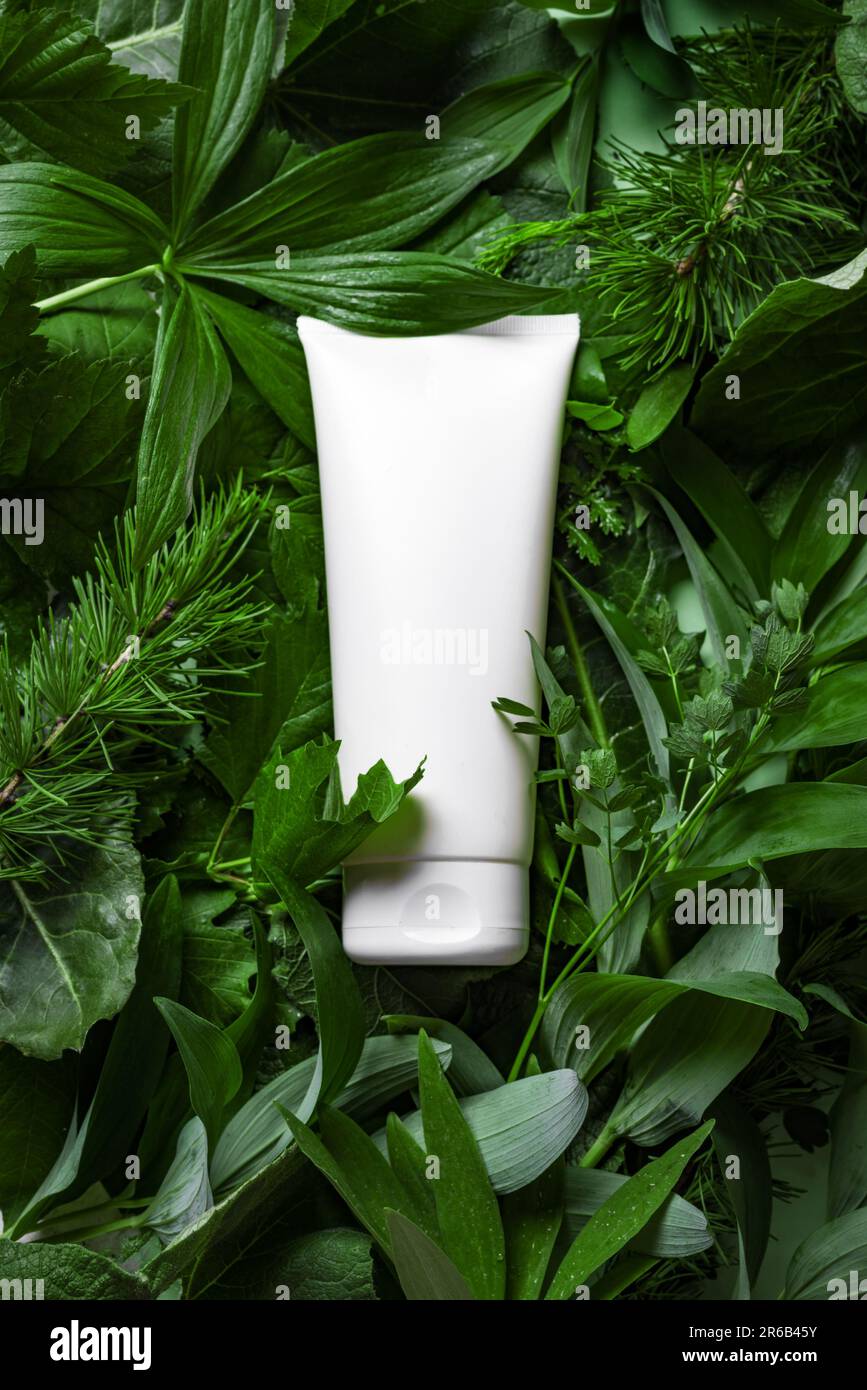 Organic cosmetic product tube on green leaves as background. Natural ...