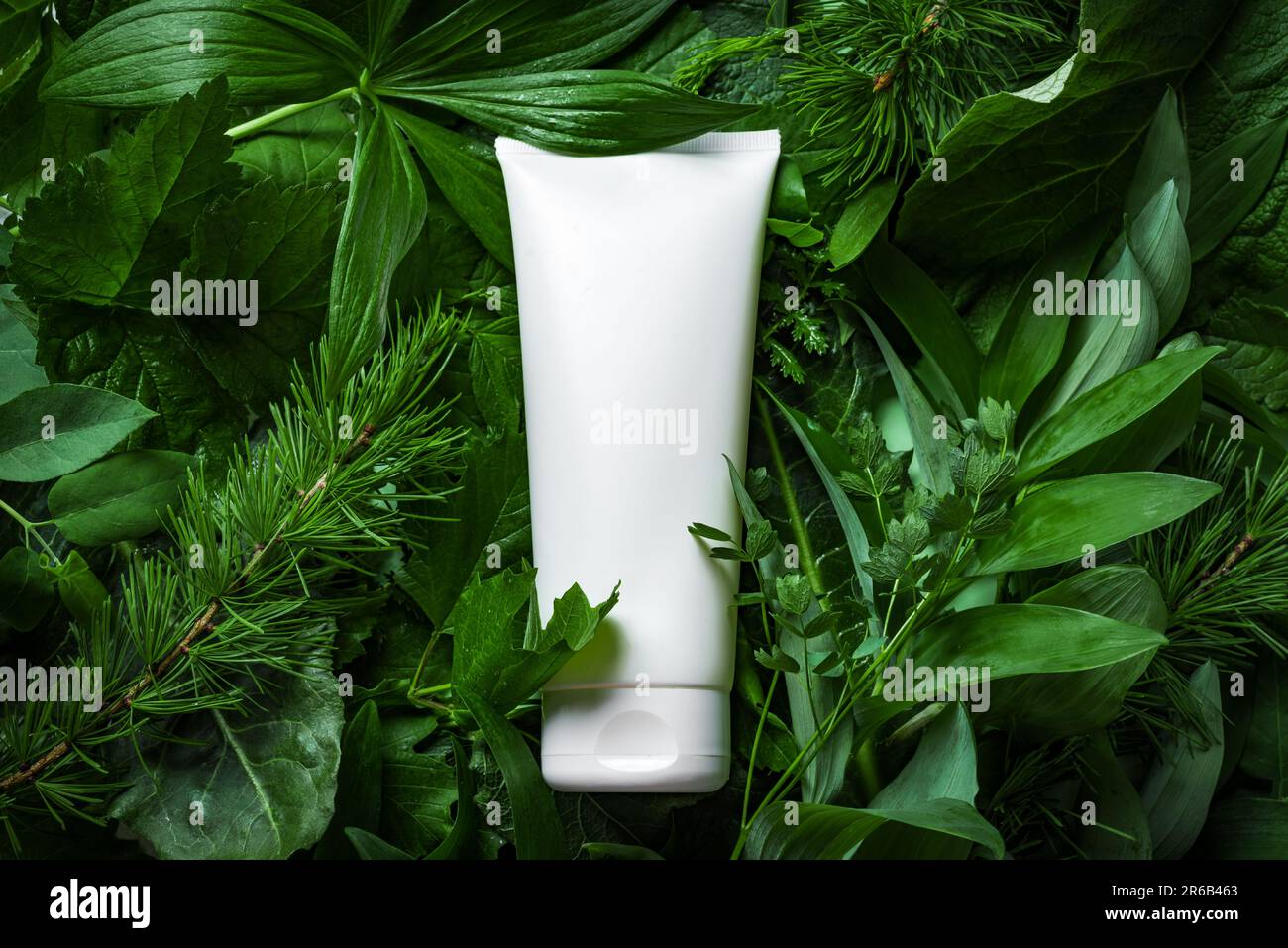 Organic cosmetic product tube on green leaves as background. Natural ...