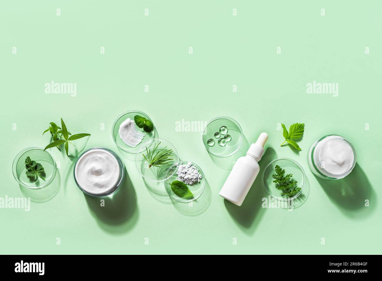 Organic skin care cosmetic products, natural plant ingredients on green ...