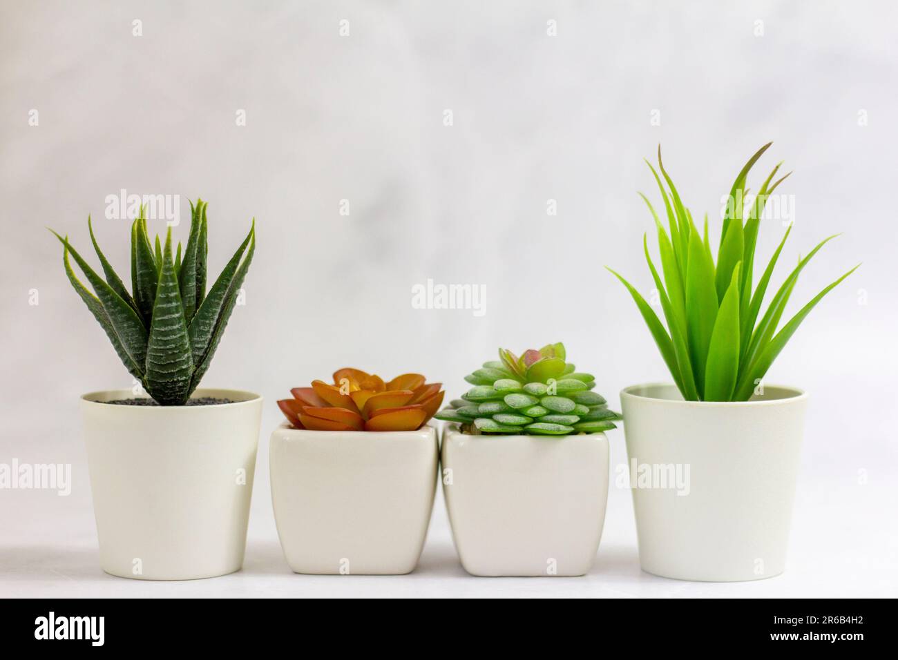 Indoor artificial plants, various succulents in pots. Succulents in ... Indoor artificial plants, various succulents in pots. Succulents in ...