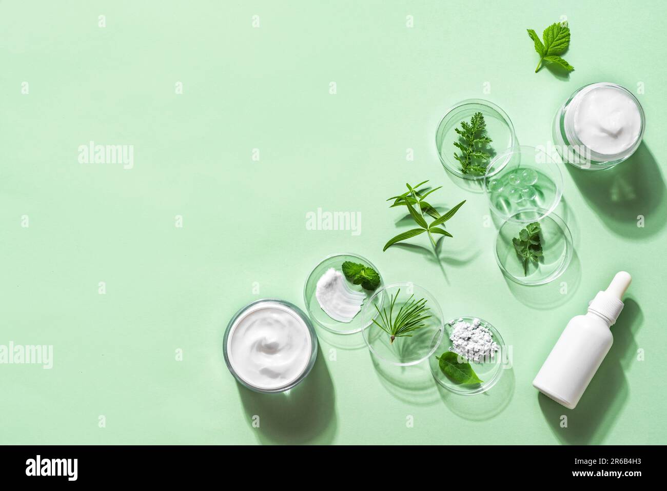 Organic skin care cosmetic products, natural plant ingredients on green ...