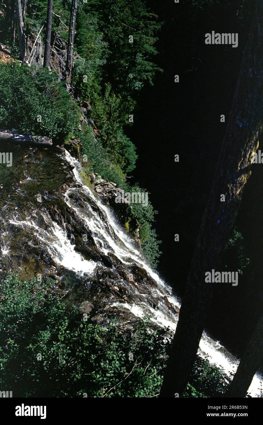 Mt. Rainier National Park, WA USA. Ascending to 14,410 feet above sea ...