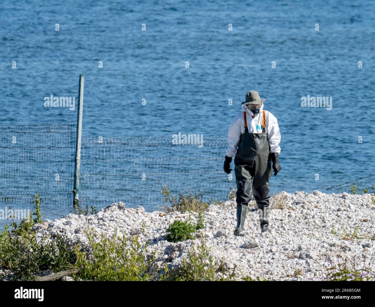 A warden at Hodbarrow nature reserve in Millom, Cumbria, goes out onto ...