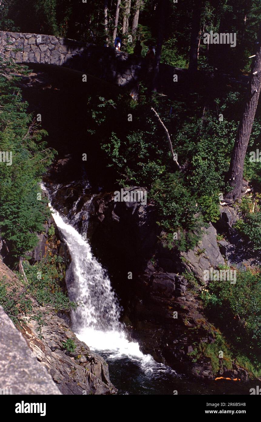 Mt. Rainier National Park, WA USA. Ascending to 14,410 feet above sea ...