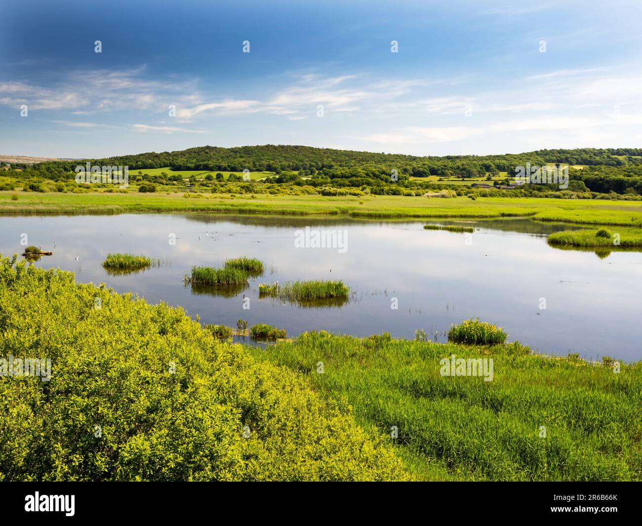 Leighton Moss RSPB reserve near Silverdale, Lancashire, UK Stock Photo ...