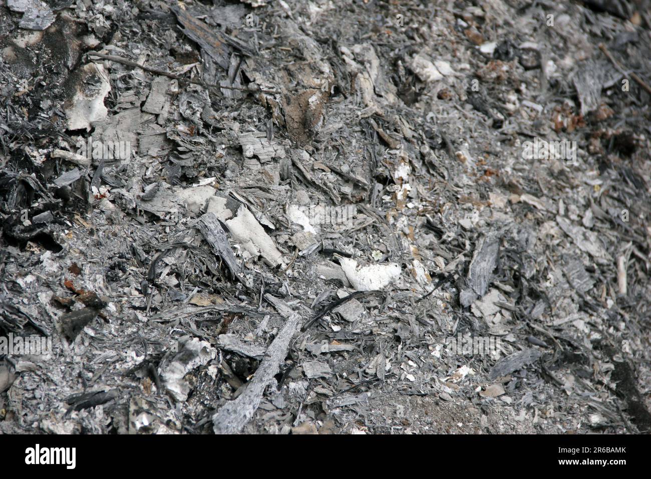 ashes,cinders of fire burned dry leaves on floor. monochromatic Stock ...