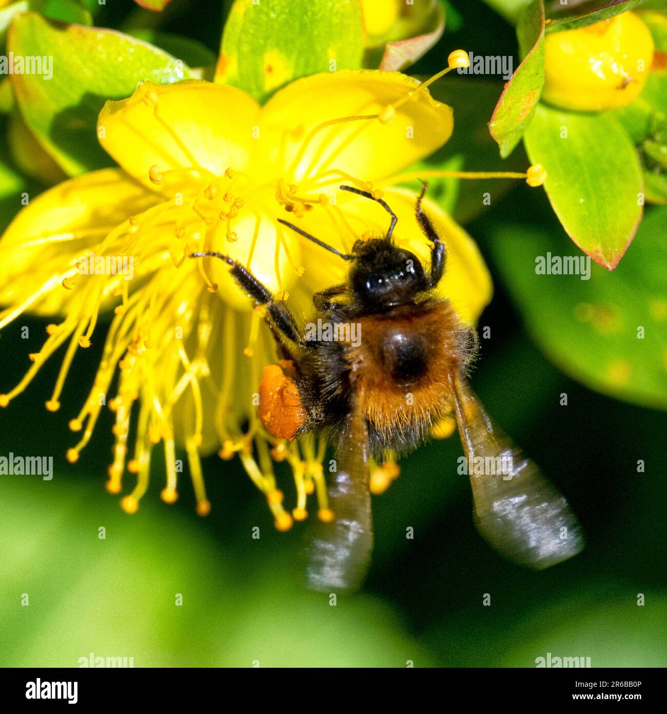 Promoting conservation initiatives hi-res stock photography and images ...