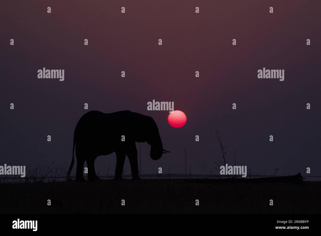 The river attracts so much life. Matusadona National Park, Zimbabwe ...