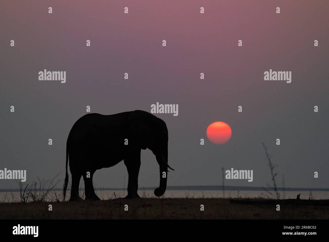 The river attracts so much life. Matusadona National Park, Zimbabwe ...