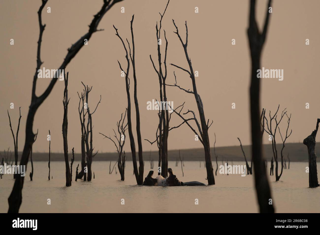 The river attracts so much life. Matusadona National Park, Zimbabwe ...