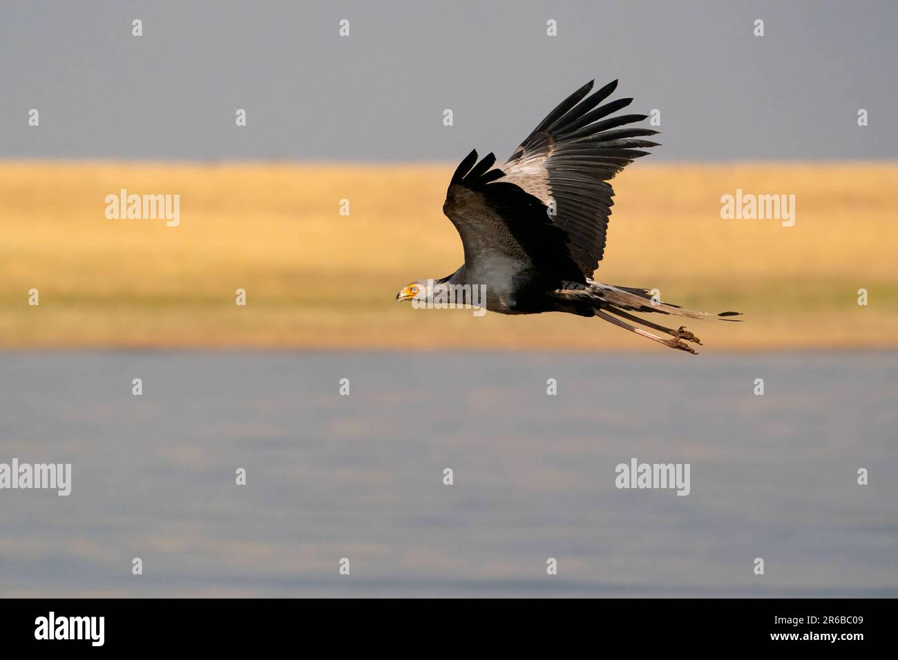 The river attracts so much life. Matusadona National Park, Zimbabwe ...
