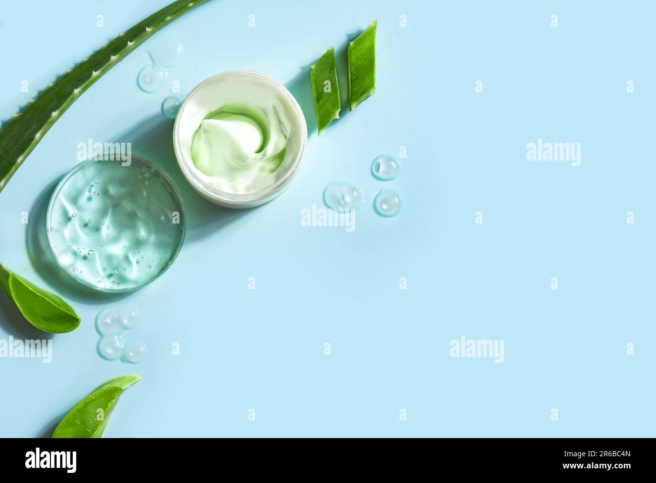 Aloe vera plant leaves and cosmetic gel for skin care on blue ...