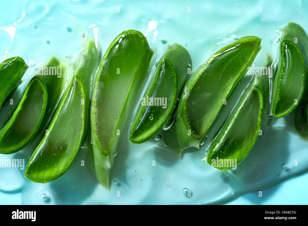 Aloe vera sliced leaves in gel for skin care on blue background ...