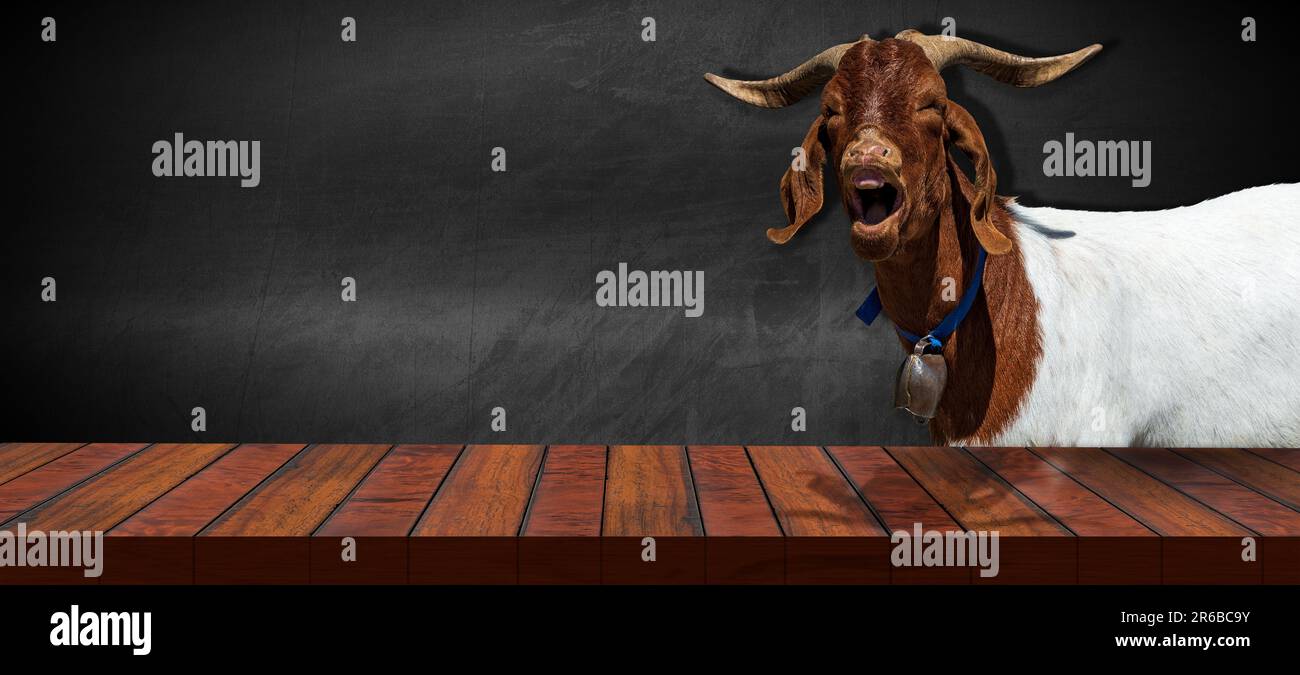 Close-up of an empty wooden table and a white and brown horned mountain ...