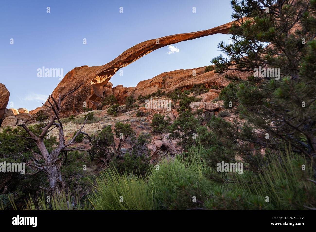 A wide and thin arch that stands out against the blue sky. The park has ...