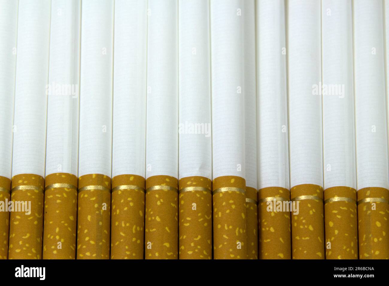 A horizontal image of a line of thirteen cigarettes placed neatly side ...