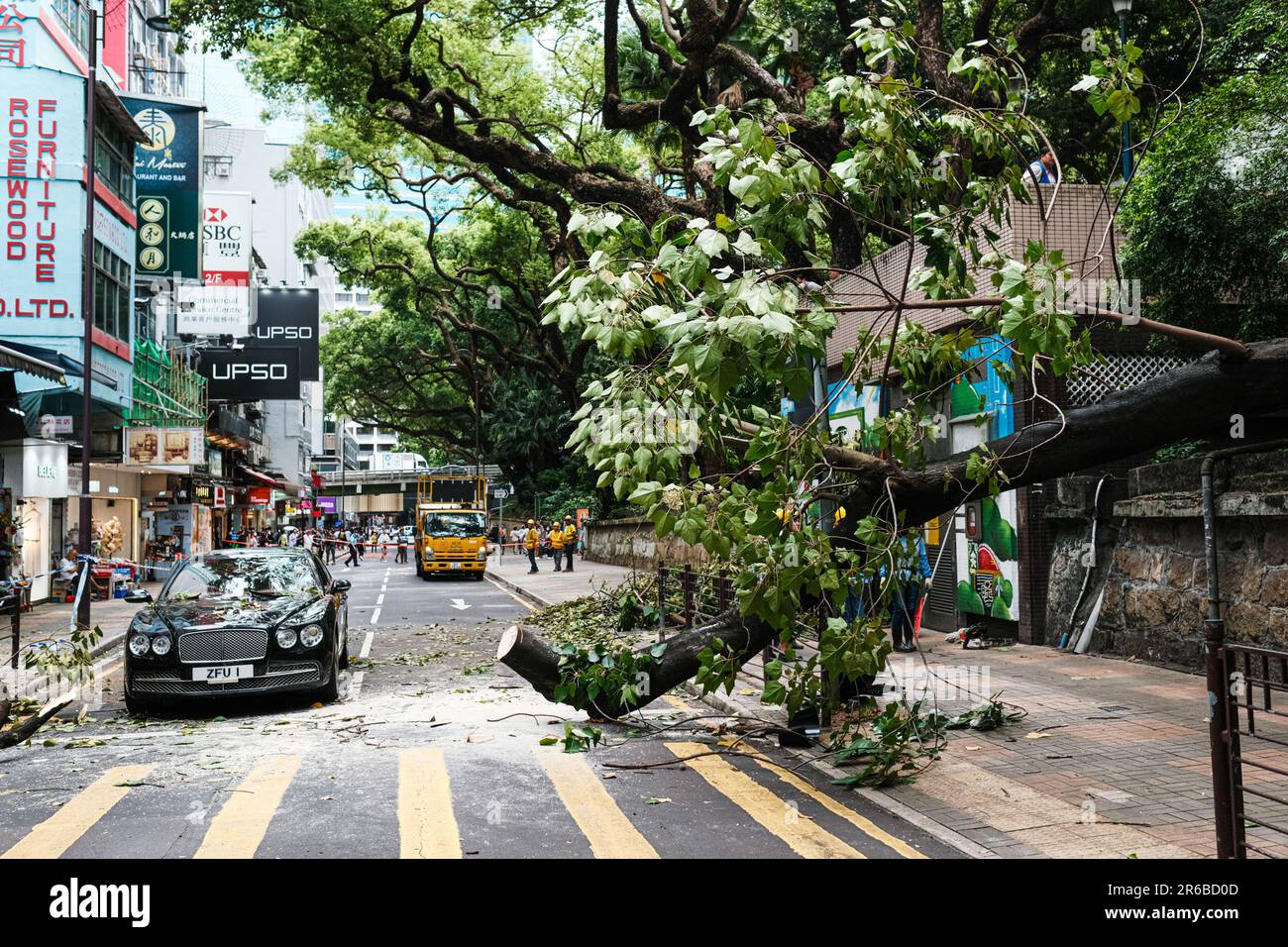 Hong Kong, China. 8th June, 2023. A tree snaps and falls from the ...