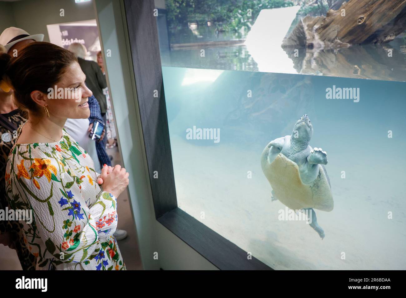 Crown Princess Victoria at the inauguration of the Turtle Ark at ...