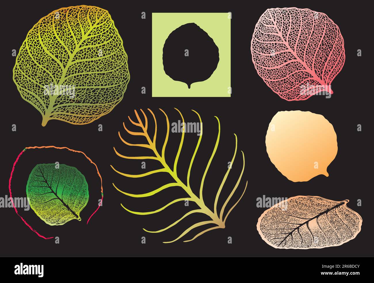 High detailed leaf for designer Stock Vector Image & Art - Alamy