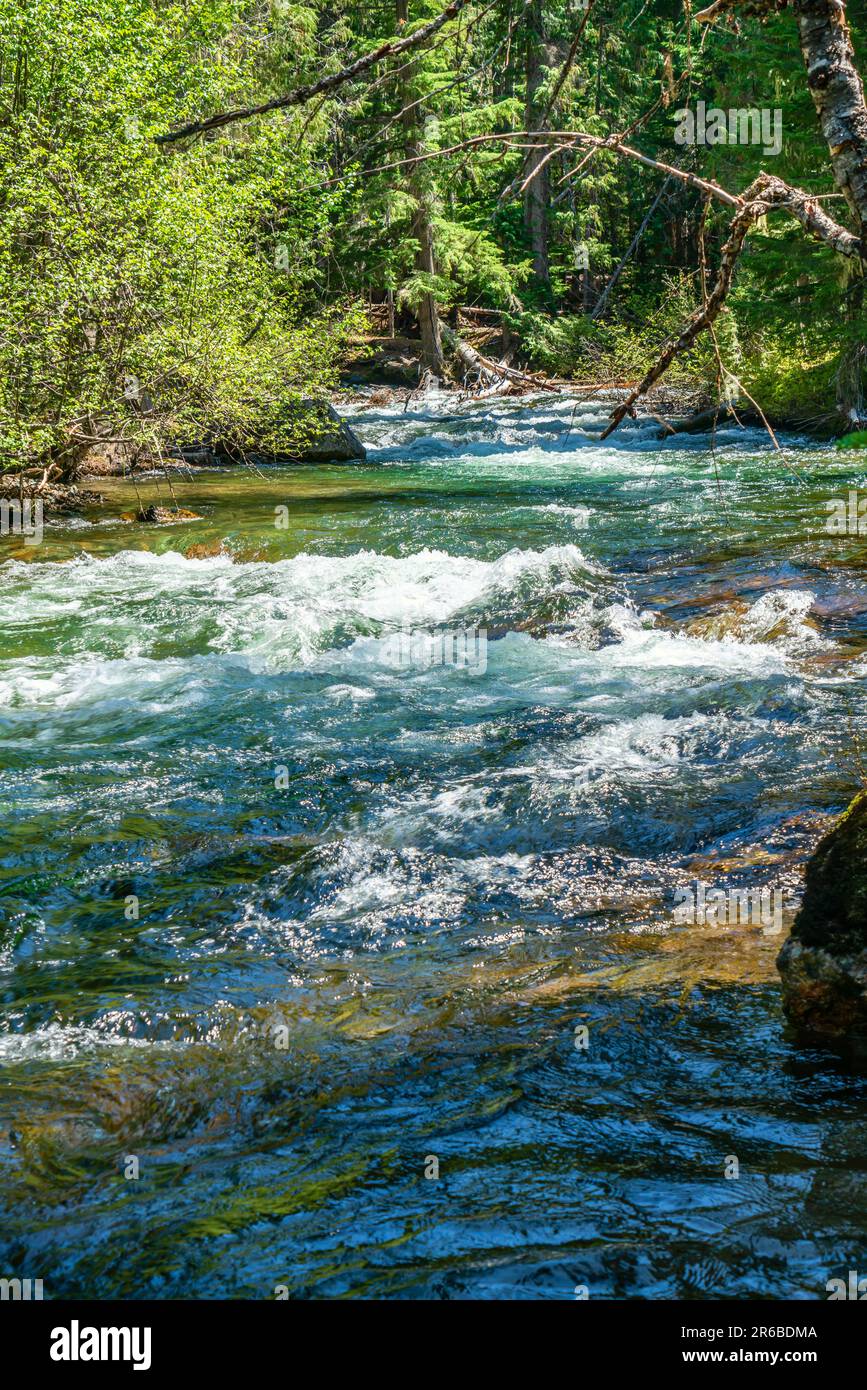 A view of a crystal clear stream along the Chninook Pass in Washington ...