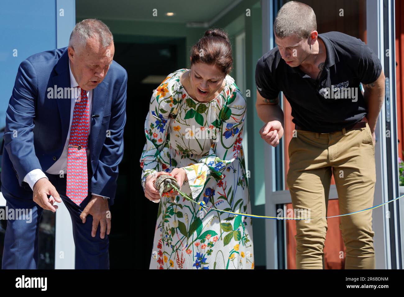 Crown Princess Victoria and a turtle inaugurate the Turtle Ark at ...