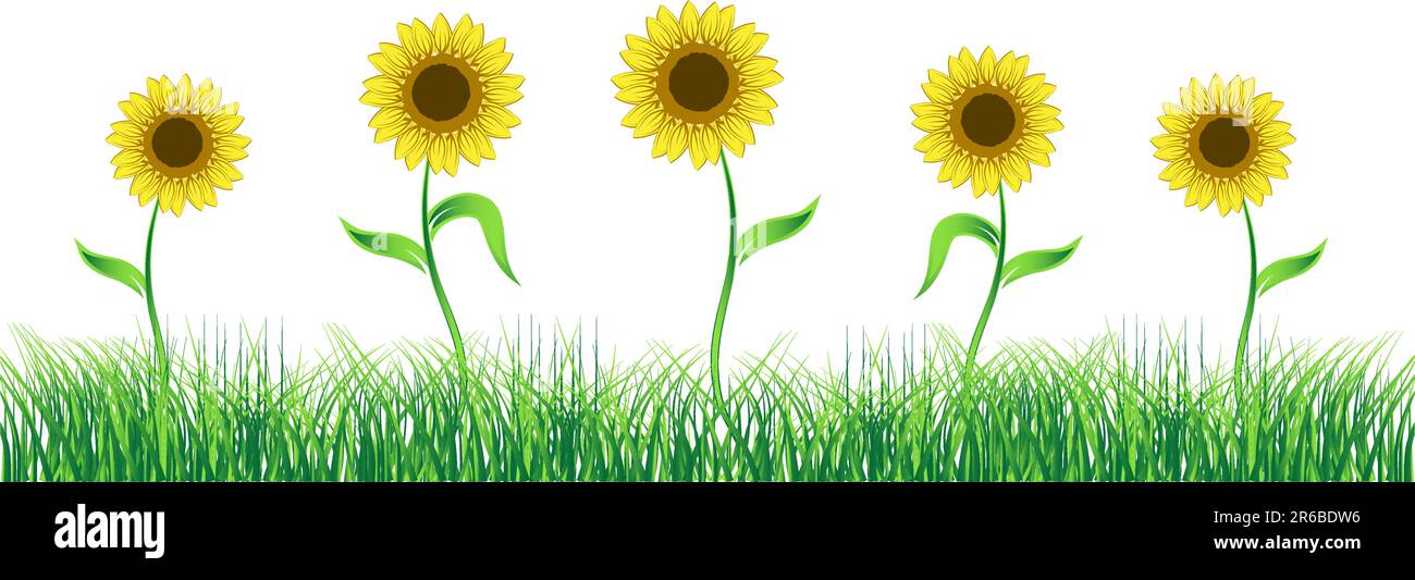 Green lawn lush bush Stock Vector Images - Alamy