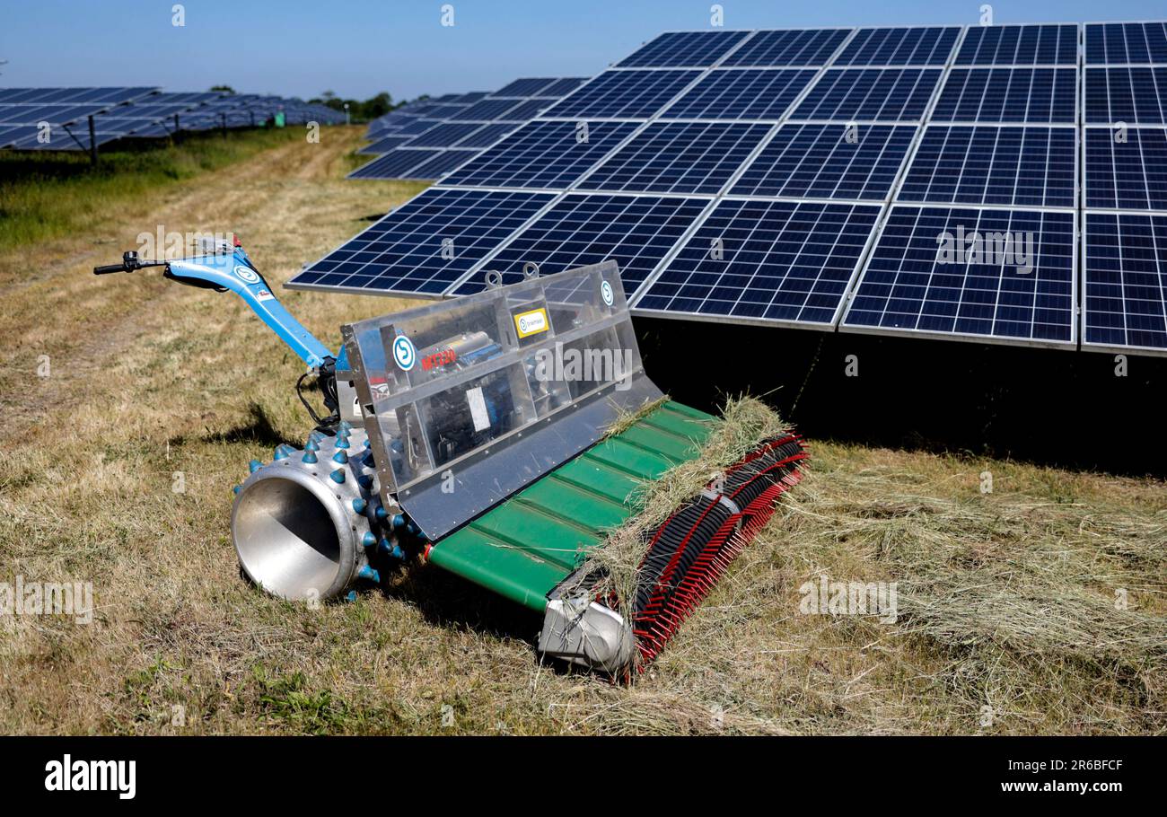 Klein Rheide, Germany. 08th June, 2023. A harvesting machine, which can ...