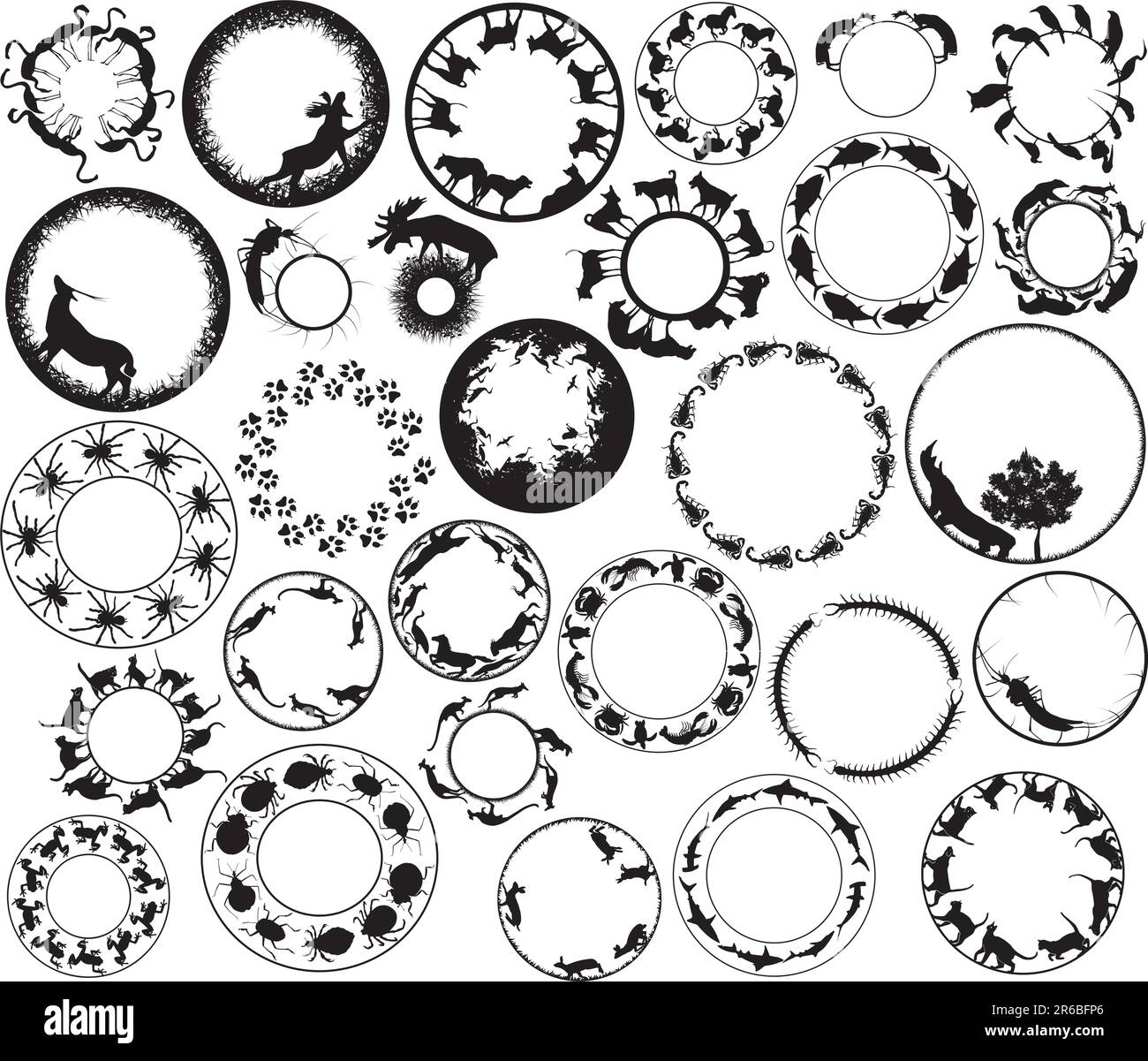 Border design with wild animals hi-res stock photography and images - Alamy