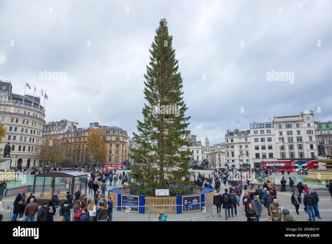 A Christmas tree is seen in Trafalgar Square, central London Stock ...