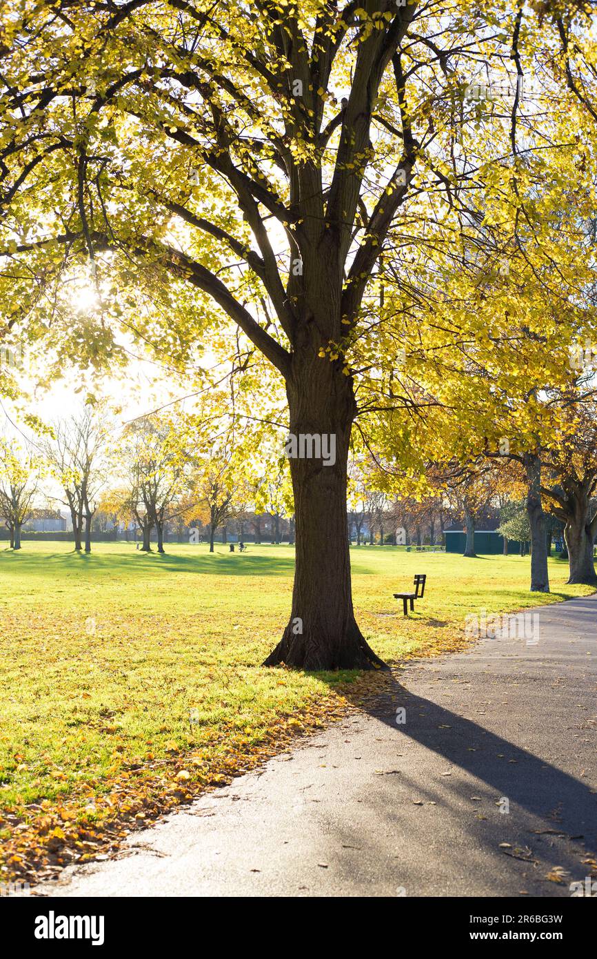 Ilford, east London Stock Photo - Alamy