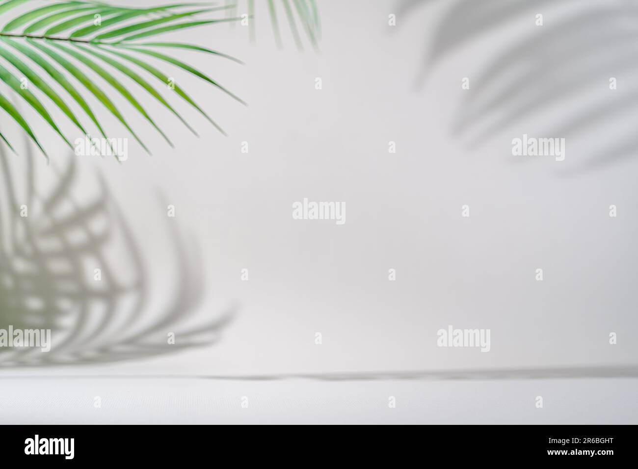 Shadow of tropical leaves Stock Photo - Alamy