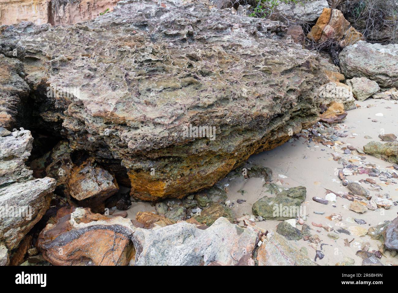 Rocks and shells on the beach seen close up. Morro de Sao Paulo, Brazil ...