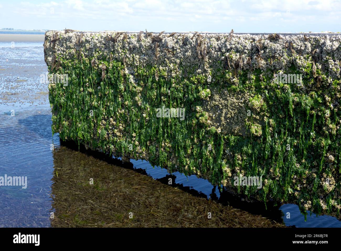 Groin and beach erosion hi-res stock photography and images - Alamy
