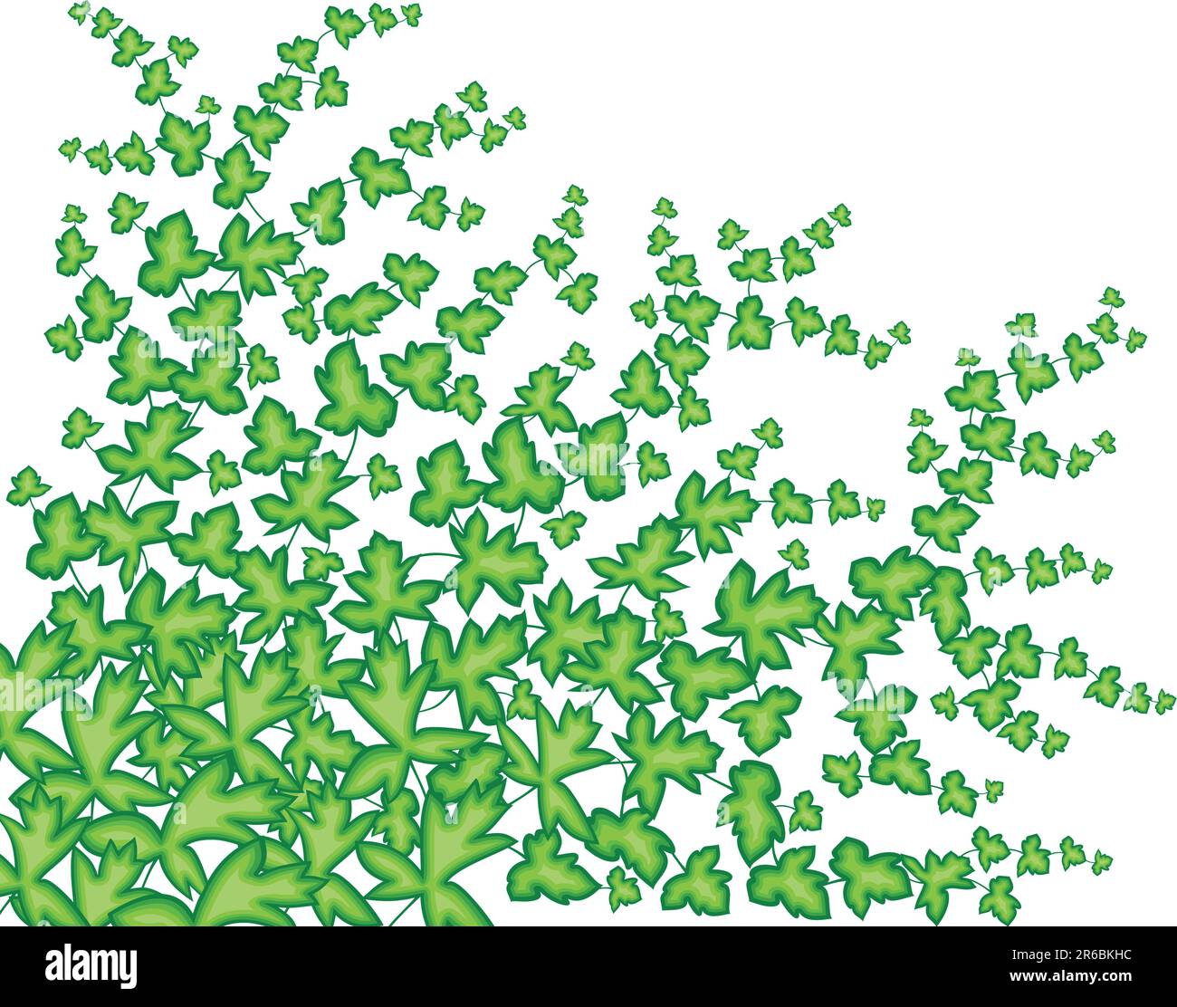 Editable vector illustration of a creeping plant Stock Vector Image ...