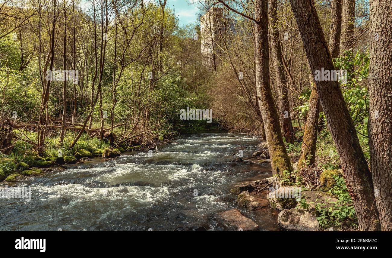 Elz river hi-res stock photography and images - Alamy