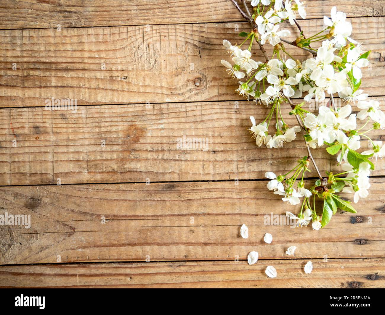 Rustic branch plant decoration hi-res stock photography and images - Alamy