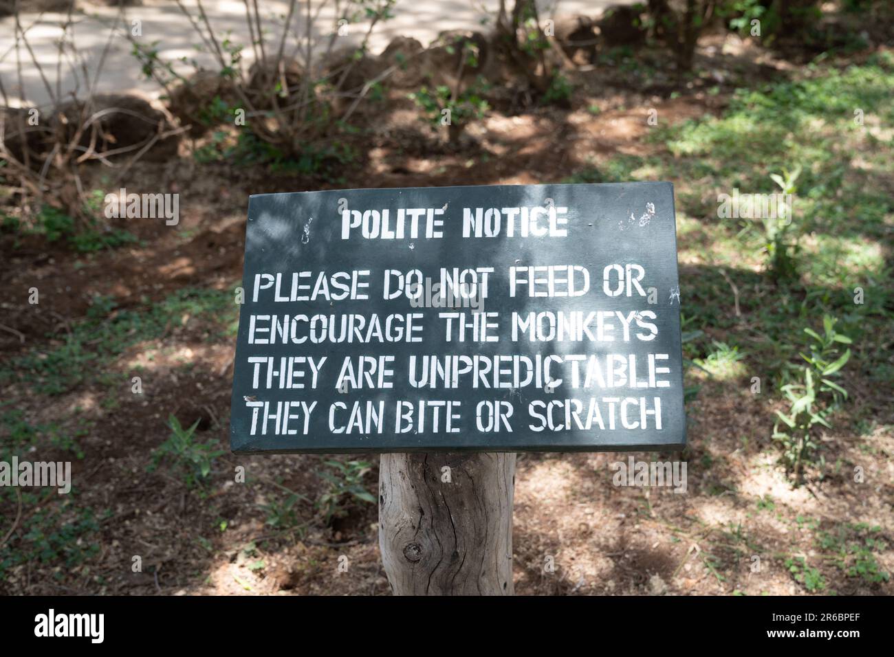 Sign for a polite notice - do not feed the monkeys, no feeding wildlife ...