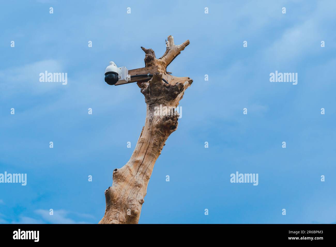 Closed circuit camera multi-angle CCTV system camera installed on dead ...