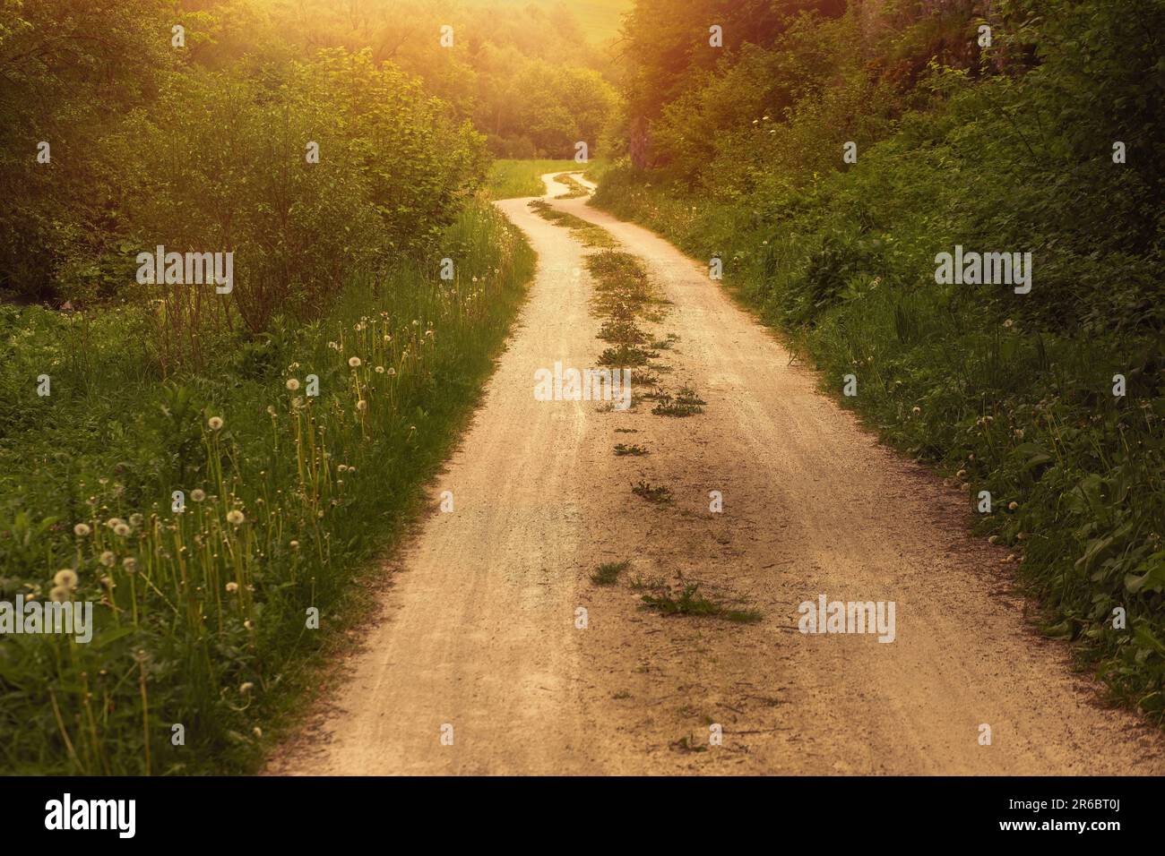 Pathway in beautiful natual landsape. High quality photo Stock Photo ...