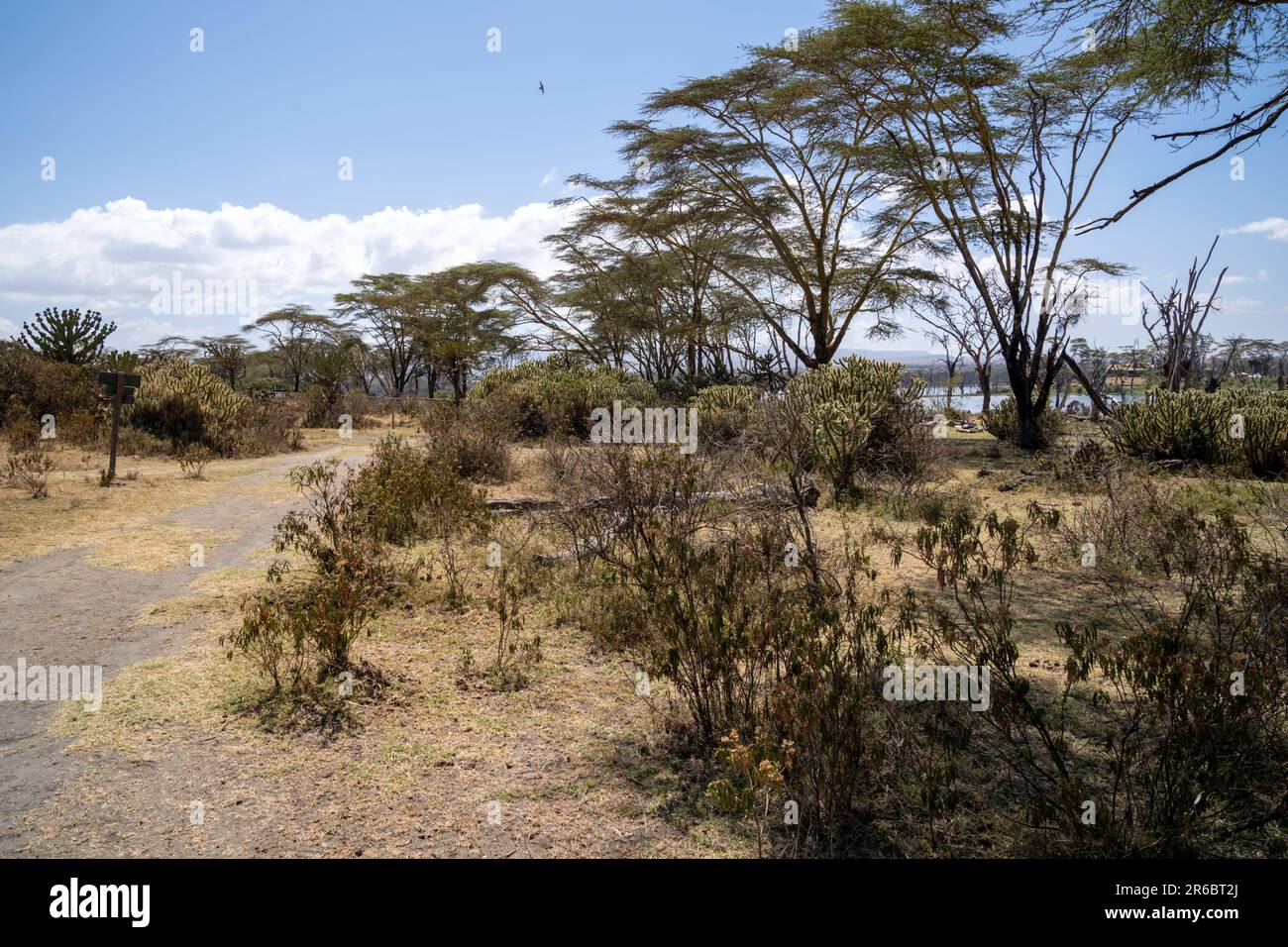 Scenery on Crescent Island on Lake Naivasha Kenya, East Africa Stock ...
