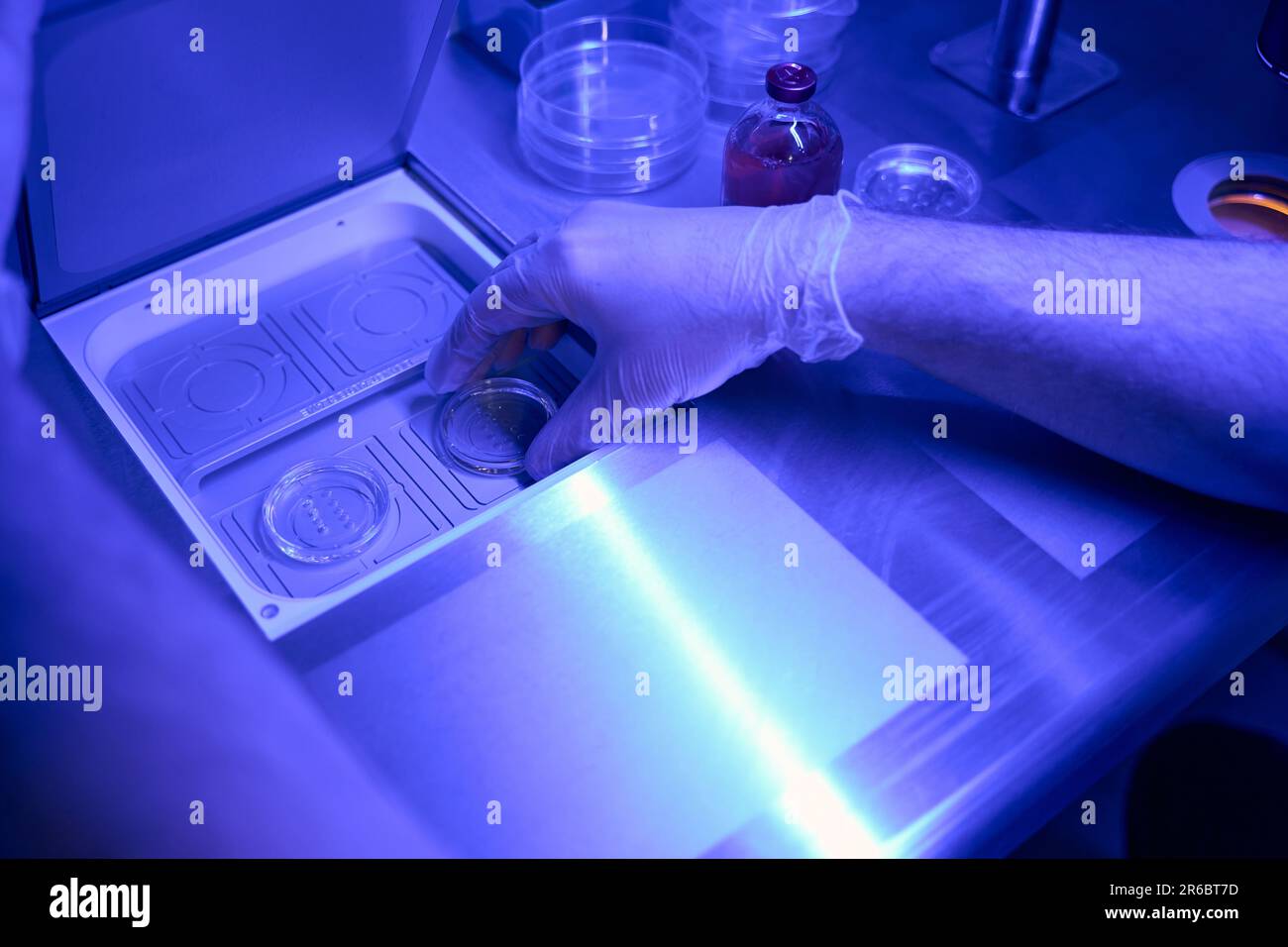 Science lab worker completing pre-implantation genetic giagnosis Stock ...