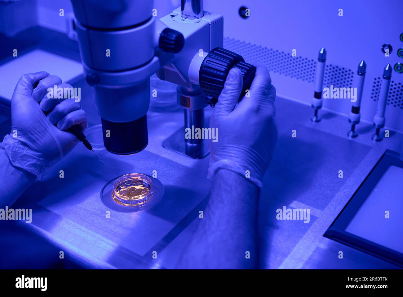 Embryologist adding special nutrients that embryos need for development ...