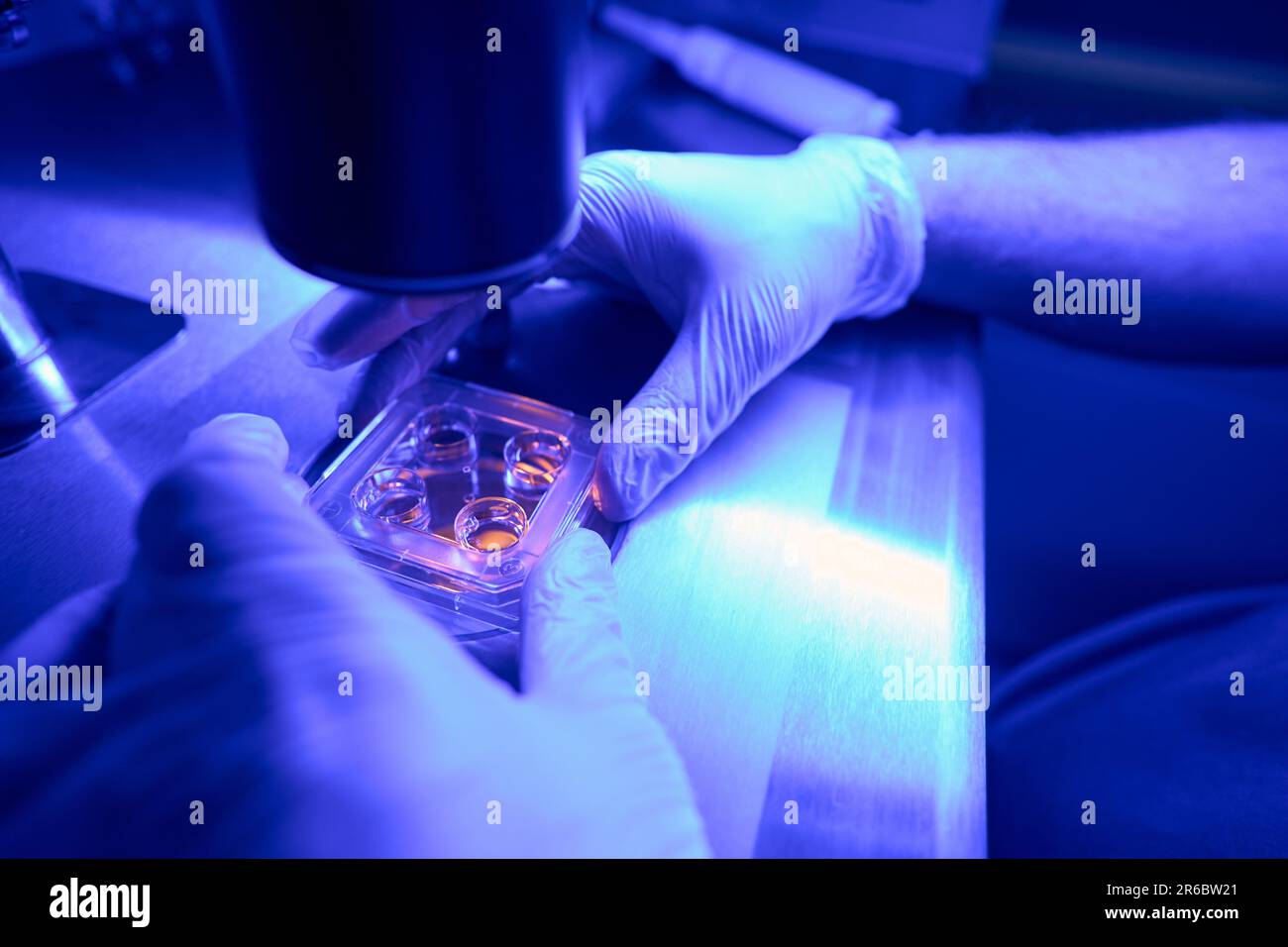 Medical laboratory worker directing the objective lens of microscope ...