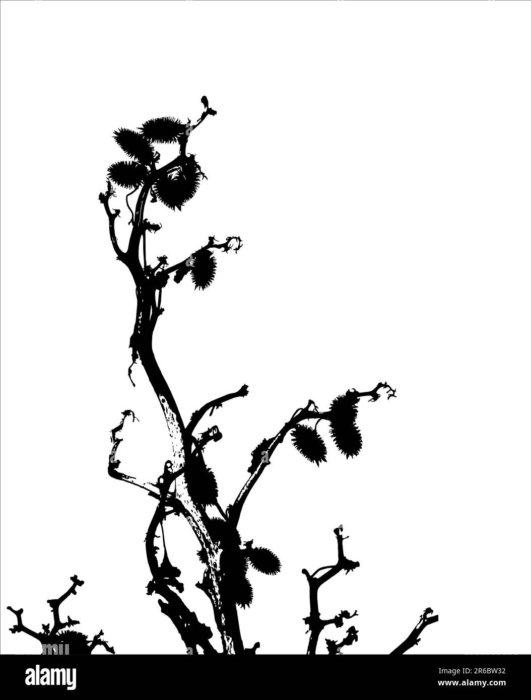 grass / plant / silhouette / vector. Ideally for your use Stock Vector ...