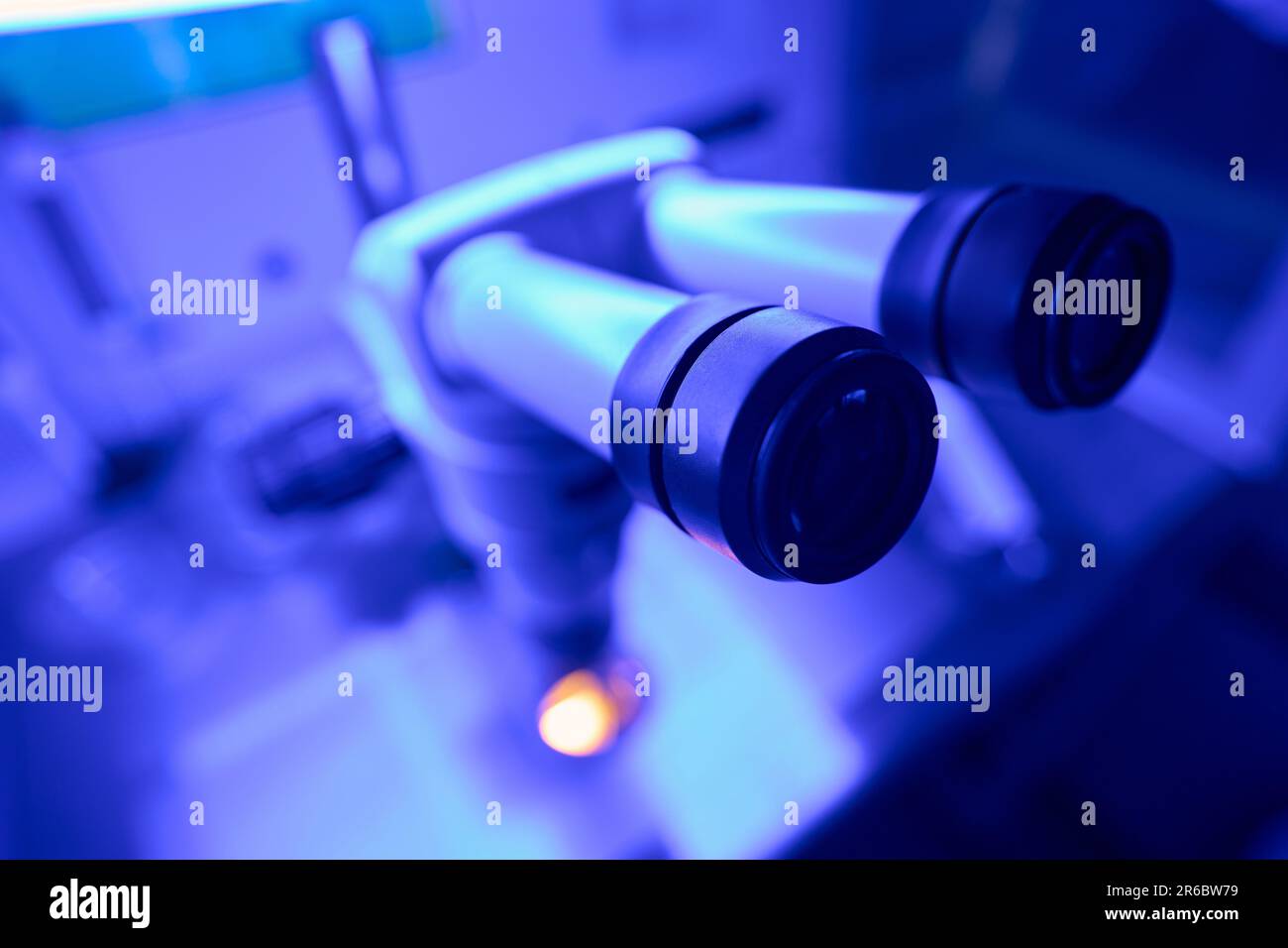 Ocular lenses of microscope in genetic researches laboratory Stock ...