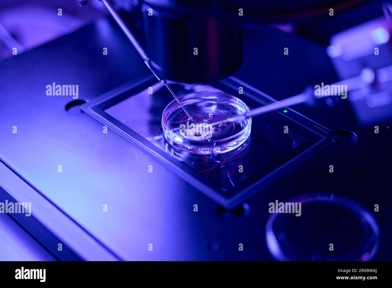 Micromanipulator hi-res stock photography and images - Alamy