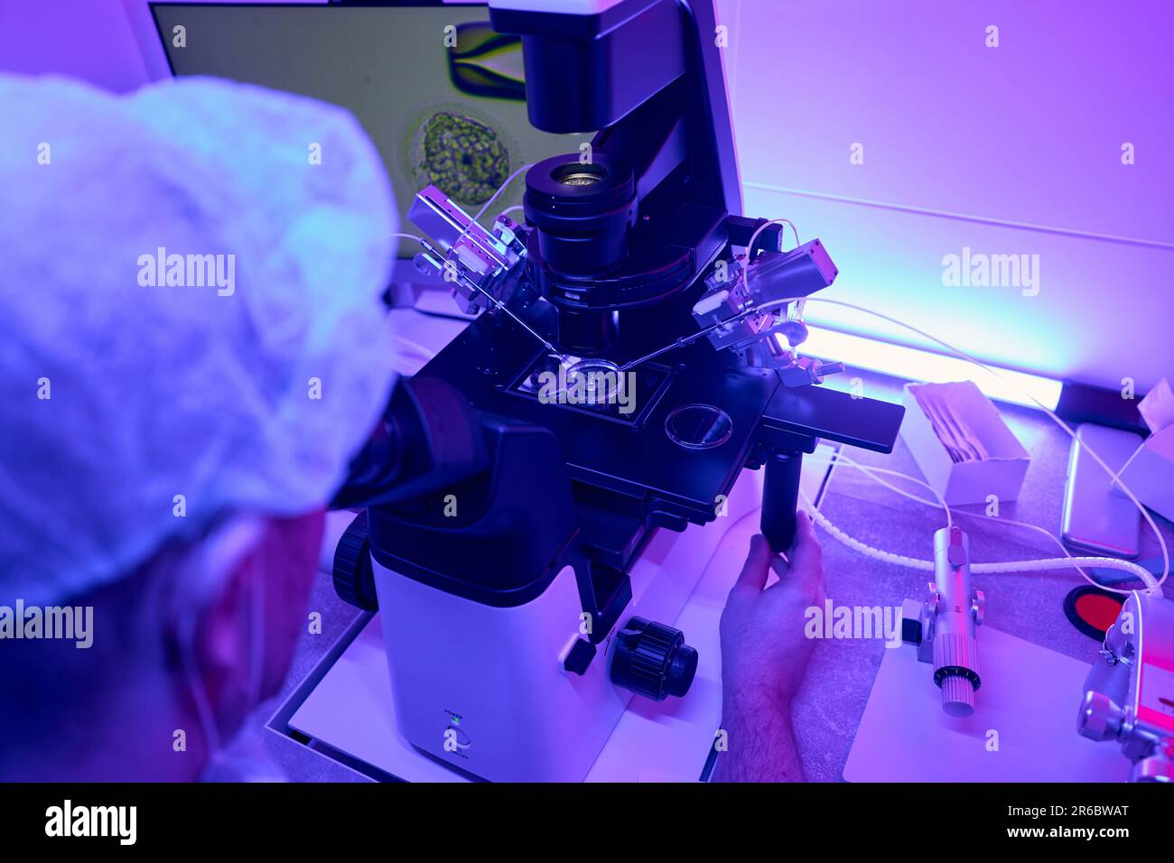 Genetic laboratory worker looking on cell at display Stock Photo - Alamy