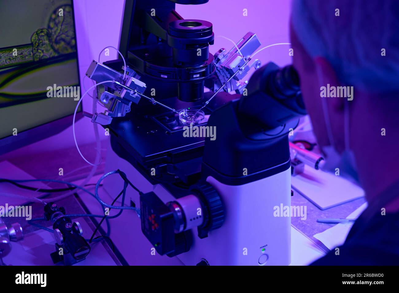 Man embryologist working with micromanipulator looking at microscope ...