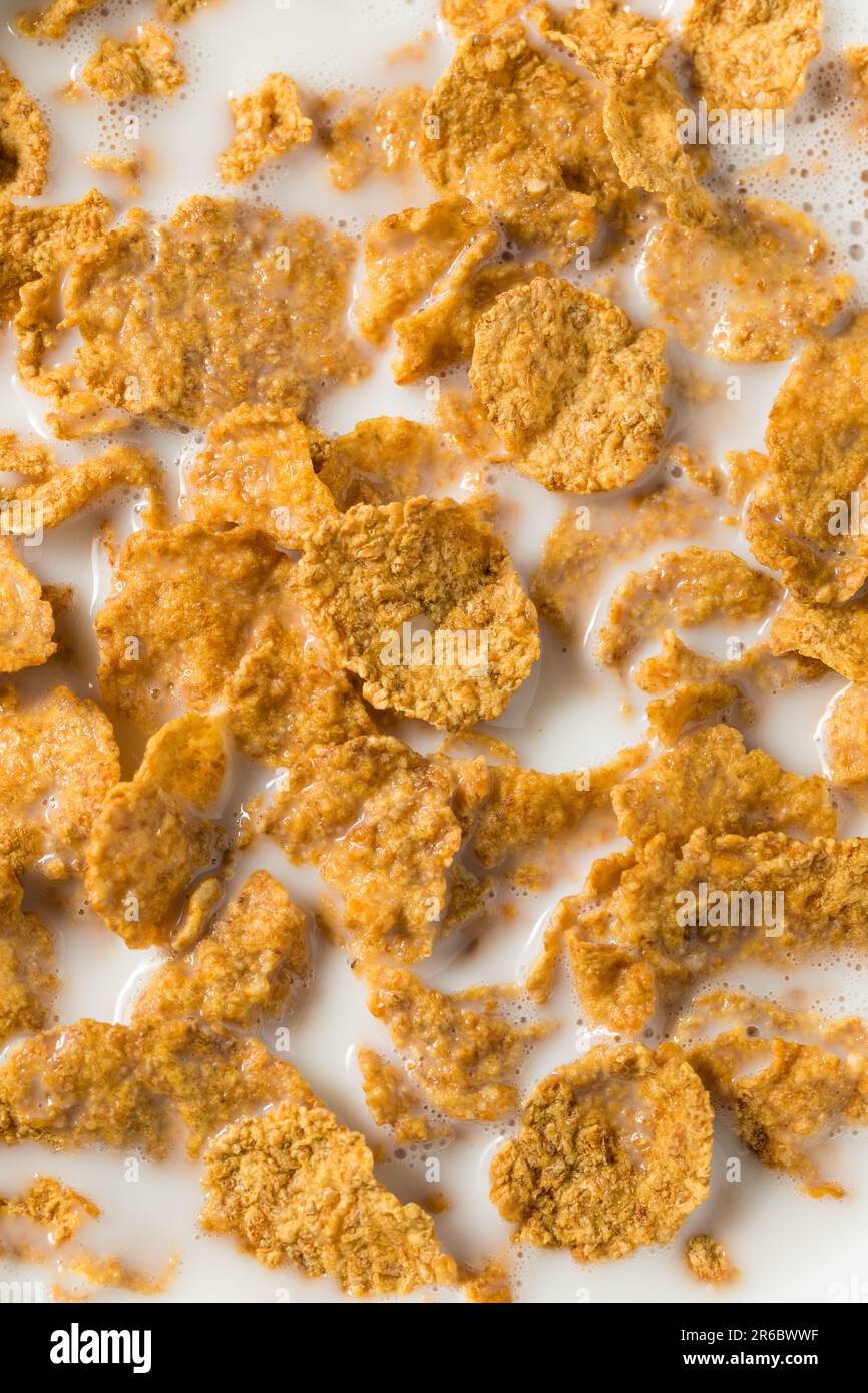Homemade Healthy Corn Flakes with Whole Milk Stock Photo - Alamy