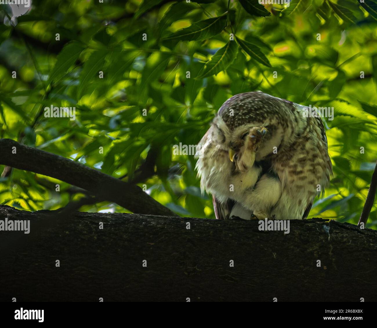 Couple watching cleaning hi-res stock photography and images - Alamy